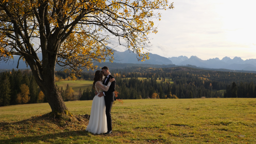 Kontakt - Cinematic Vision